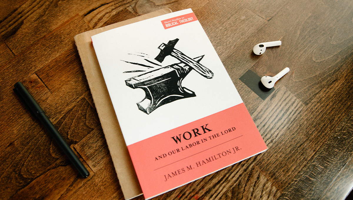 Work and Our Labor in the Lord by Dr. James Hamilton - Women & Work